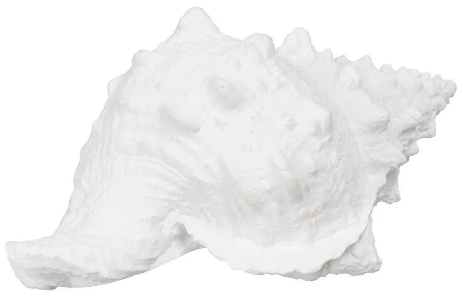Soška z polyresinu (výška 12 cm) Seashell – Ixia