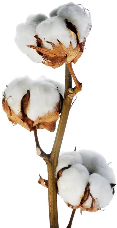 Gipetex Natural Dream 3D italské povlečení 100% bavlna Canella pomeranč & hřebíček - 140x200 / 70x90 cm