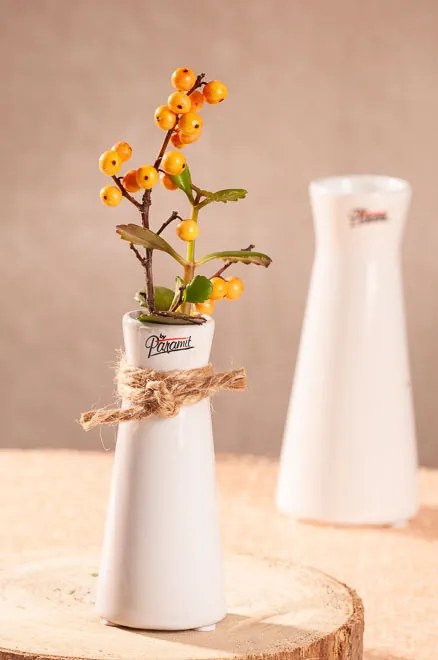 Paramit KAPUCÍN váza bílá 12,5 cm