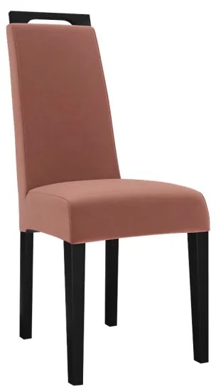 Jídelní židle JK79, Barva dřeva: černá, Potah: Magic Velvet 2219