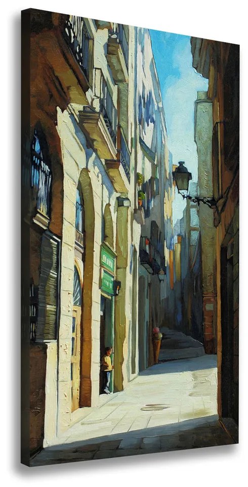 Wallmuralia Foto obraz na plátně Ulice Barcelony 50x100 cm