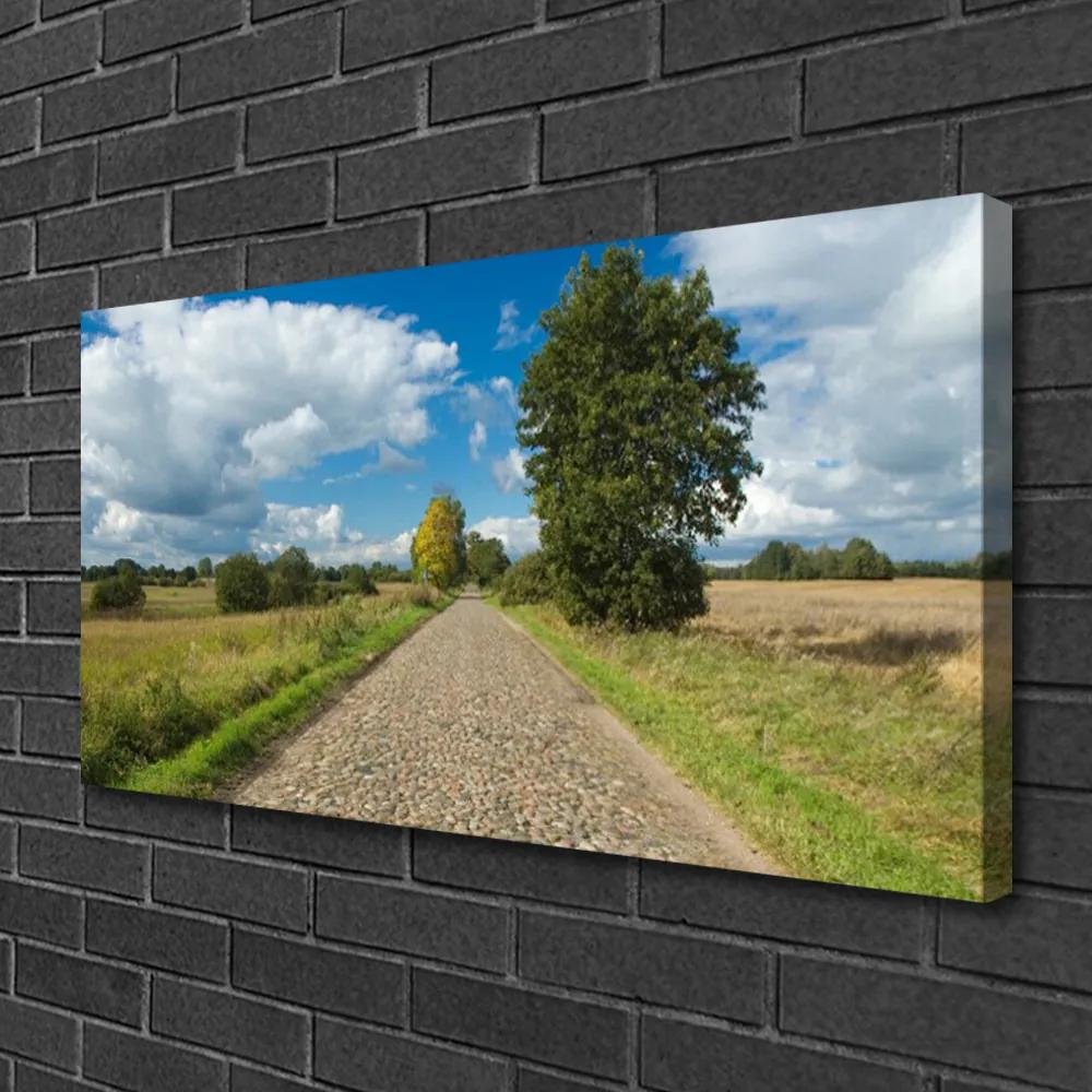 Obraz na plátně Vesnice Cesta Dlažba Krajina 120x60 cm