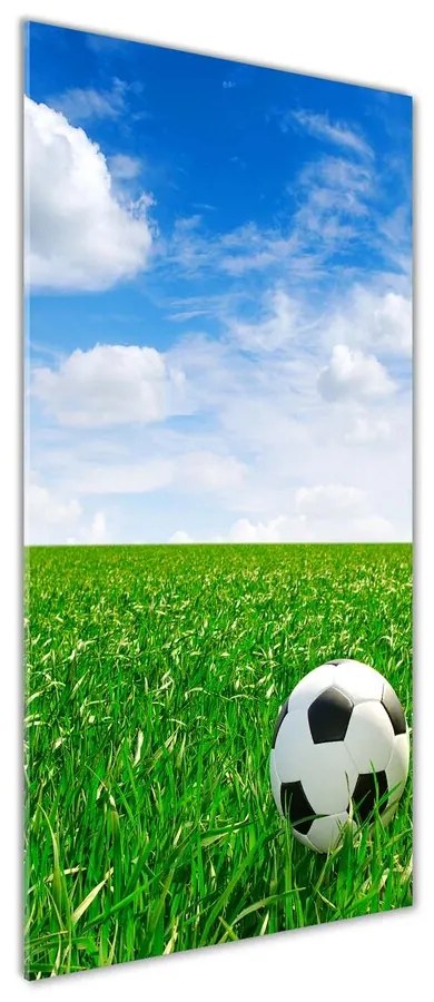 Wallmuralia Fotoobraz na skle Fotbal na louce 50x125 cm
