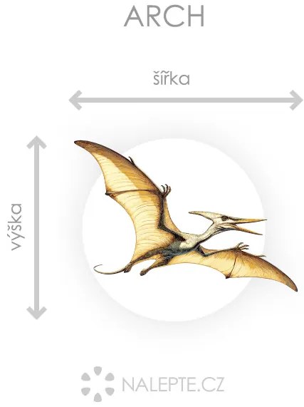 Pterodactyl textilní přelepitelná samolepka na zeď arch 45 x 37 cm