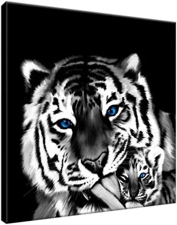Tištěný obraz Tygři jako malovaní 30x30cm 2573A_1AI