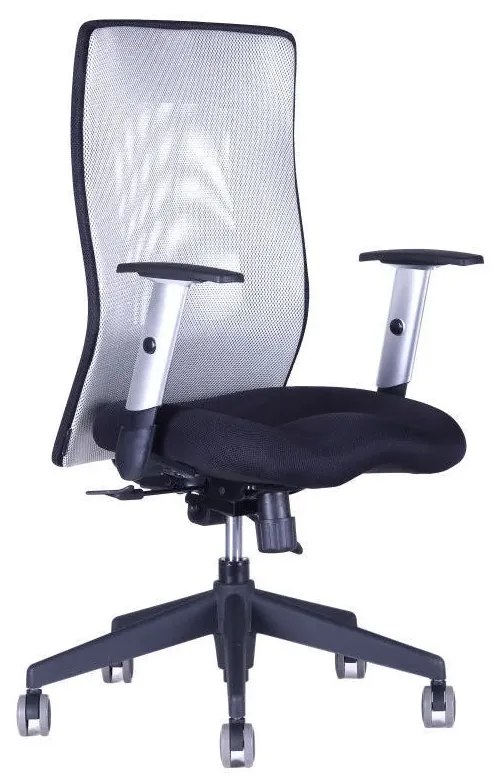 Office Pro Kancelářská židle Calypso Grand BP Barva opěráku: 12A11 šedá