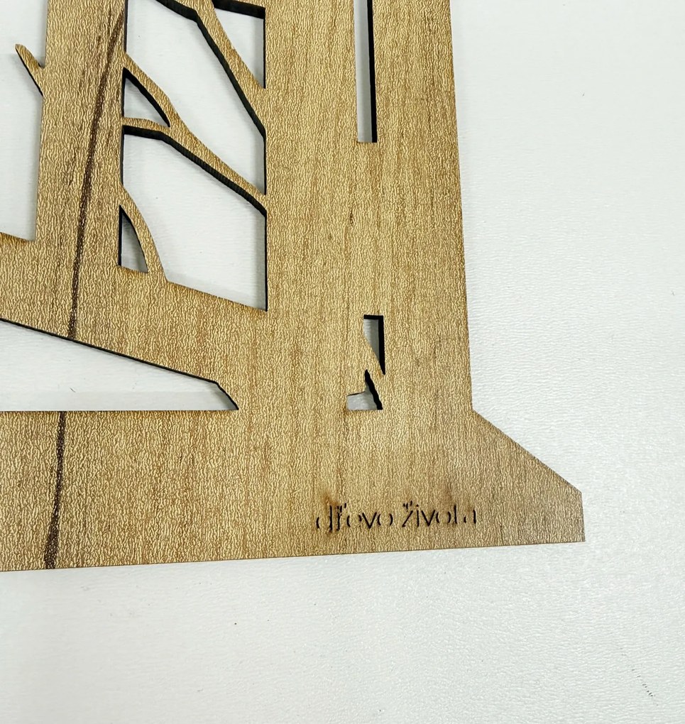 dřevo života Dřevěný obraz Kočičí výhled - II. jakost Zvolte rozměr (cm): 33x40, Zvolte barvu dekoru: Dub zlatý