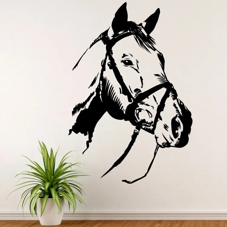 Kůň portrét - vinylová samolepka na zeď 100x68cm