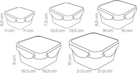 TESCOMA Dóza FRESHBOX 5 ks, čtvercová
