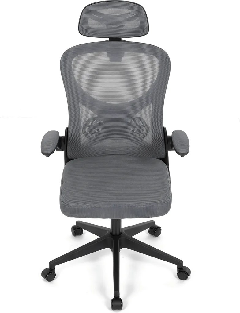 Ergonomická kancelářská židle ALEXANDRE - šedá síťovina