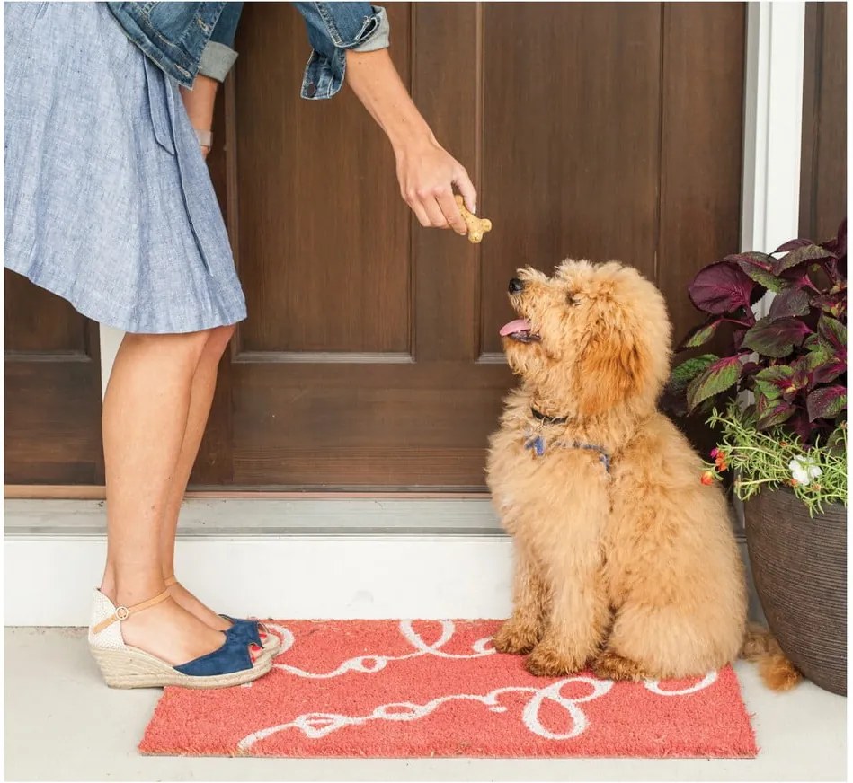 Modrá forma na pečení psích sušenek ve tvaru kosti Nordic Ware