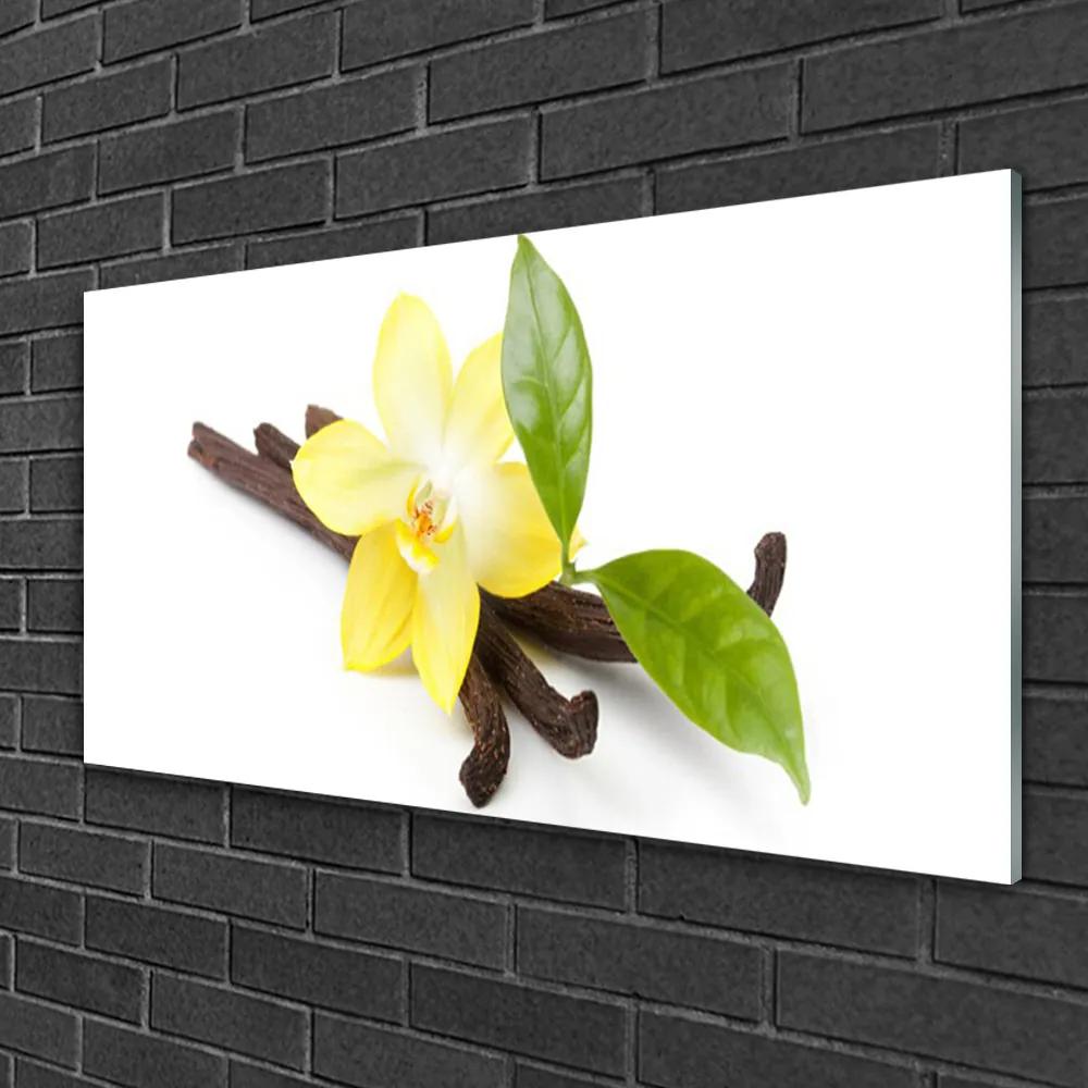 Obraz na skle Vanilka Listy Rostlina 125x50 cm