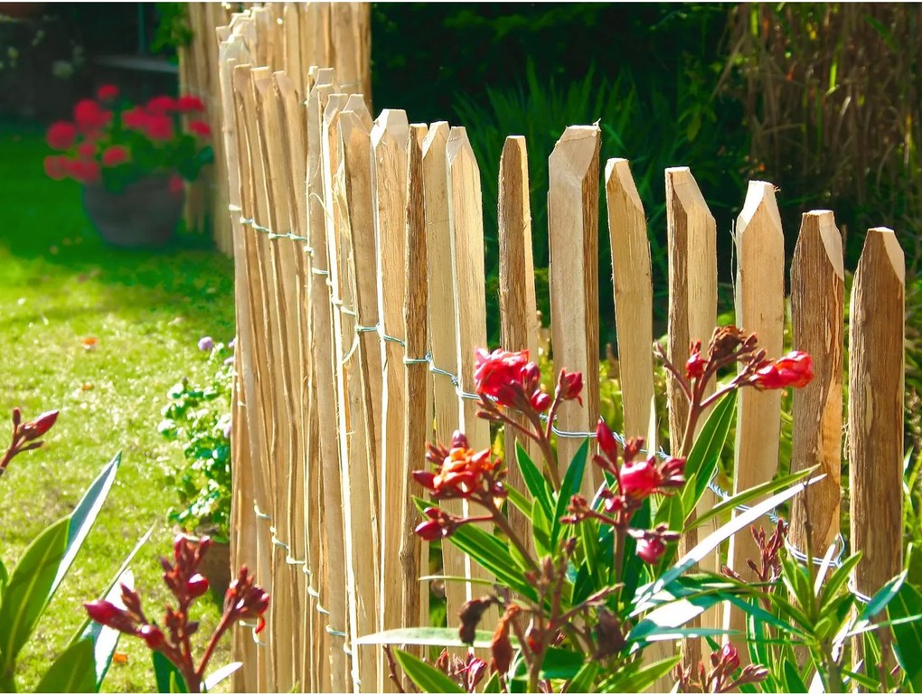 Florawrold Plaňkový zahradní plot, líska přírodní, 4-5 cm, 500 x 90 cm