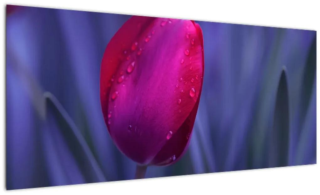 Obraz - tulipán (100x40cm)