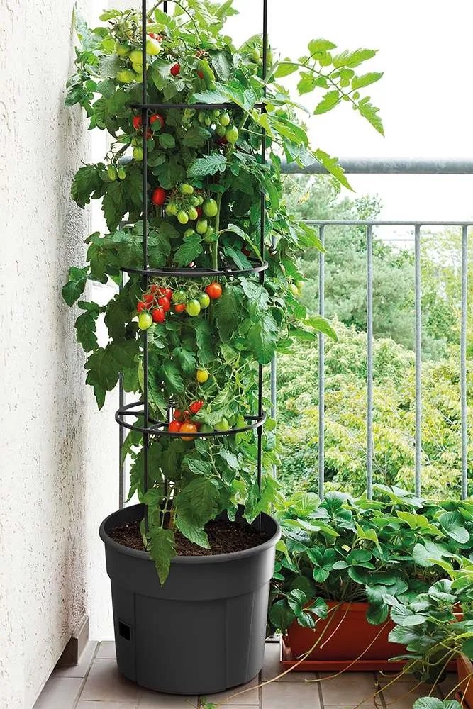 Květináč na pěstování rajčat GROWER antracit