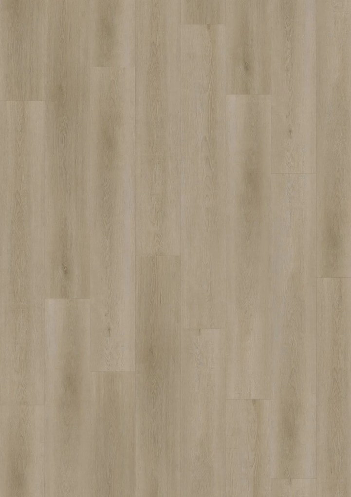 Oneflor, Vinylová podlaha lepená ECO 55 052 Raw Oak Light Natural - dub, 1219,2 x 184,1 mm