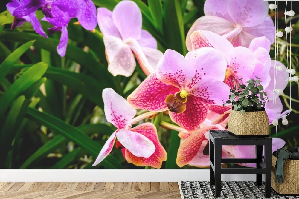 Fototapeta Barevné Orchideje 3D Hladký vinyl 135x90