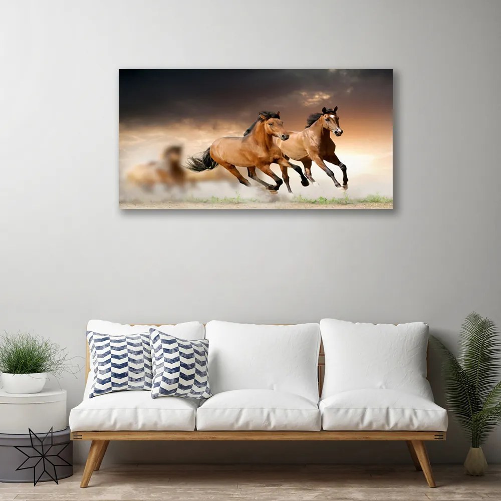 Obraz na plátně Koně Zvířata 120x60 cm