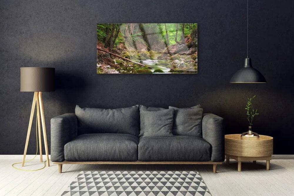 Obraz na skle Les Mech Příroda 120x60 cm