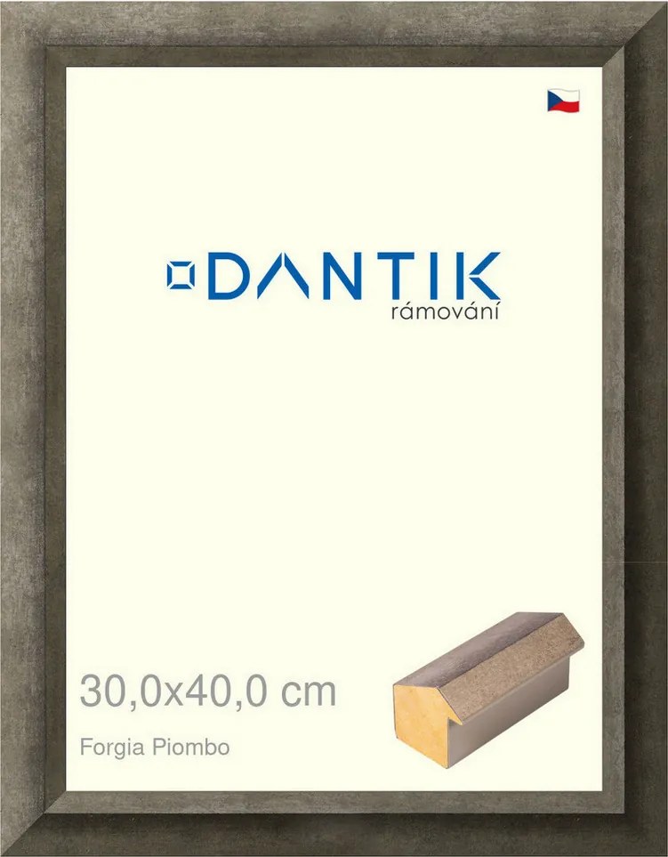 DANTIK rámeček 30x40 | Forgia Piombo (Plexi Čiré)