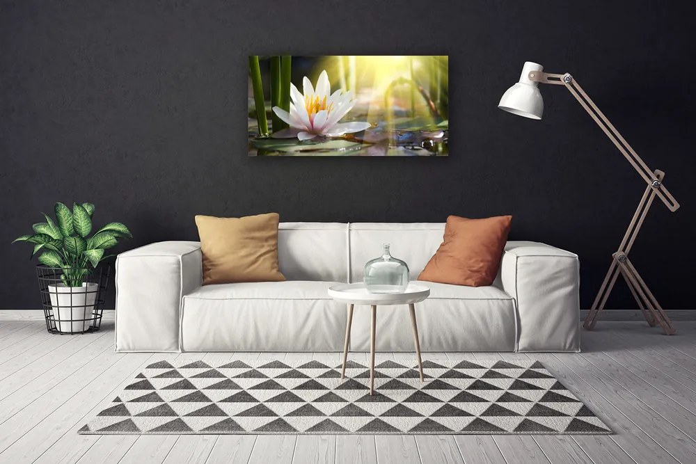 Obraz na plátně Vodní Lilie Slunce Rybník 125x50 cm