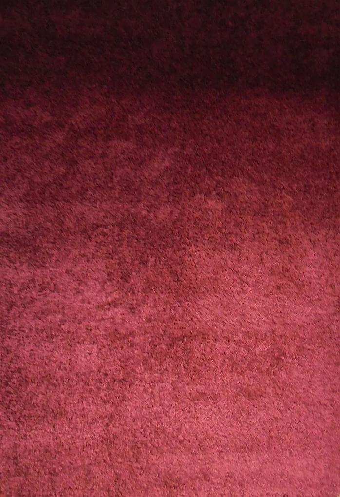 Kusový koberec Shaggy Plus 957 purple 60x115