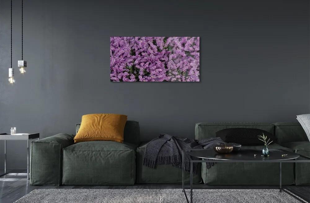 Obraz na skle fialové květy 100x50 cm