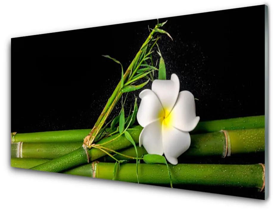 Obraz na skle Bambus Květ Rostlina 140x70 cm