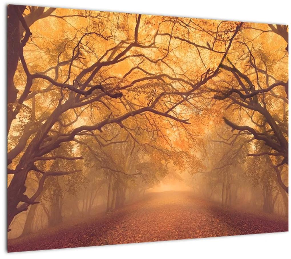 Skleněný obraz cesty v podzimní krajině (70x50 cm)