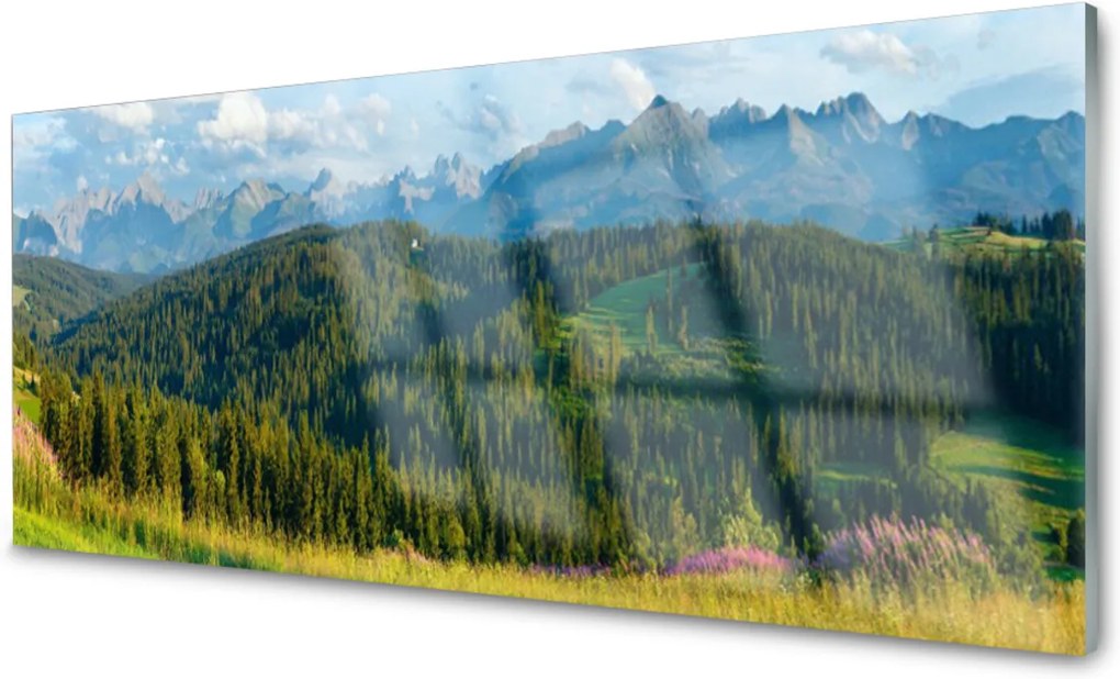 Plexisklo obraz Skleněný Hora Les Příroda