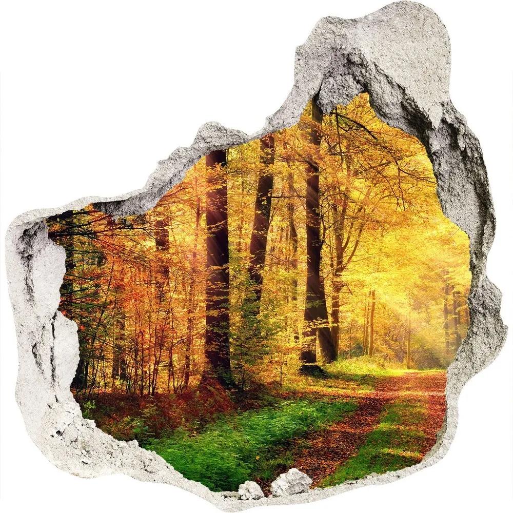 Wallmuralia Nálepka fototapeta 3D výhled Podzim les 75x75 cm