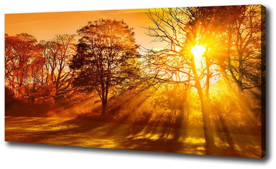 Wallmuralia Foto obraz na plátně Západ slunce 100x50