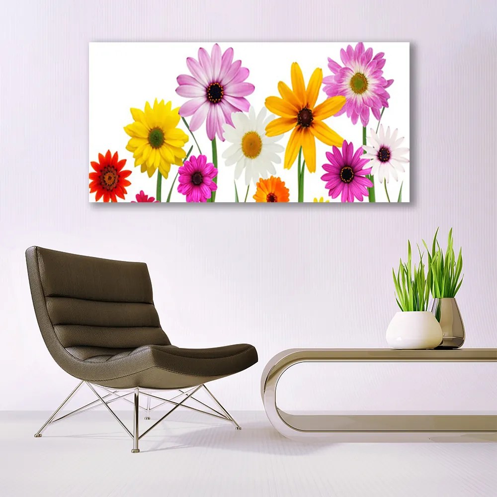 Plexisklo-obraz Barevné Květiny Příroda 120x60 cm
