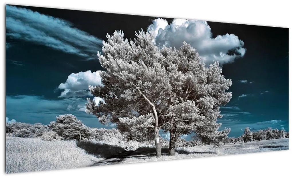 Strom v zimě, obraz na zeď (100x40cm)