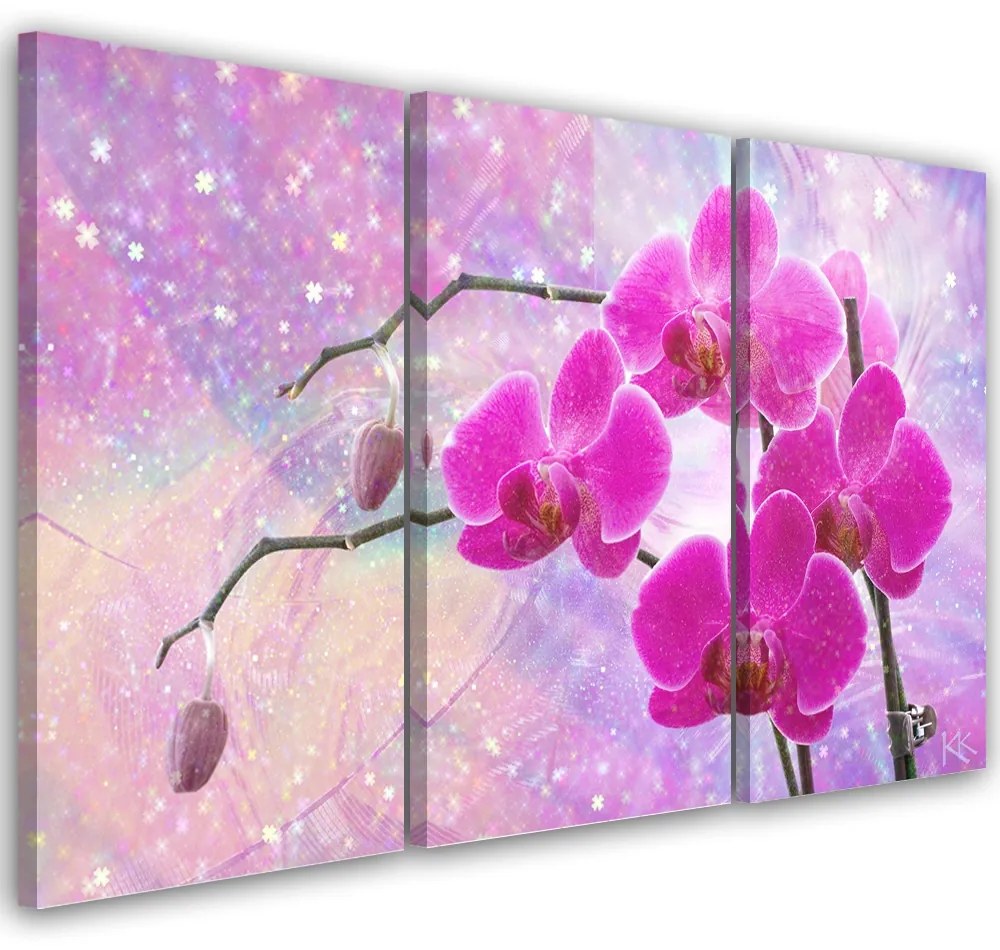 Obraz na plátně třídílný, Základní abstrakce orchidejí - 60x40 cm