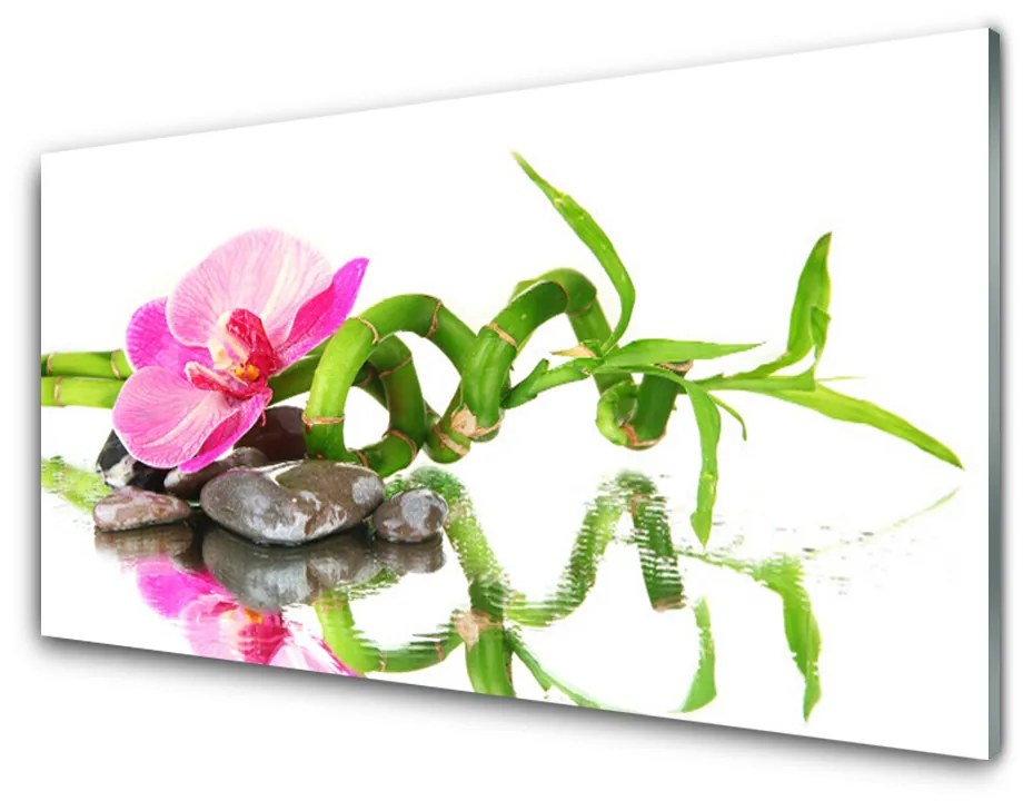 akrylový obraz Bambus Květ Kameny Umění 140x70 cm