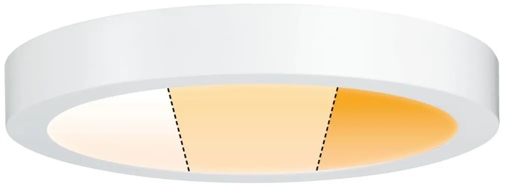 Paulmann 79799 - LED/19W Stropní svítidlo CARPO 230V 2300/2500/3000K