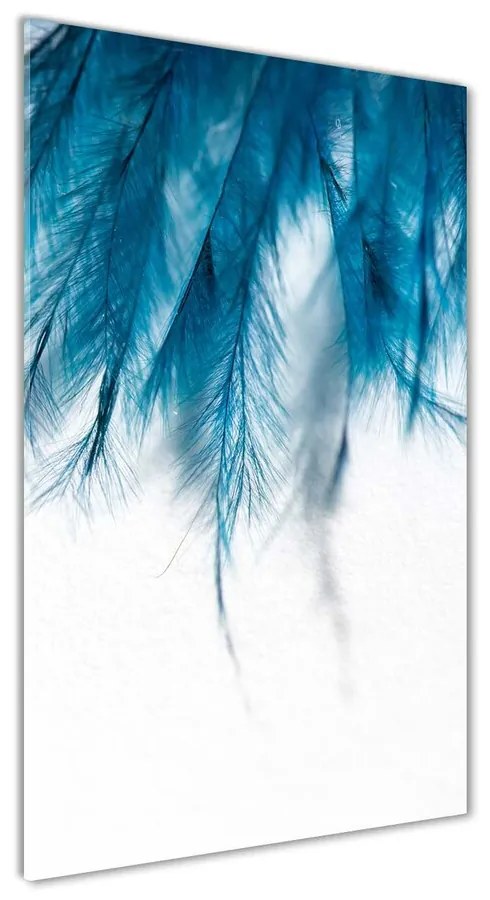 Wallmuralia Foto obraz akrylové sklo Modré pírka 50x100 cm