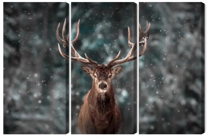 Vícedílný obraz Jelen V Lese 3D Nedostatek Nedostatek Přírodní plátno 60x40