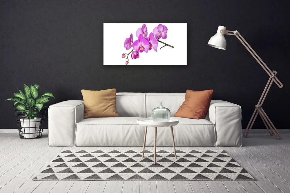 Obraz na plátně Vstavač Orchidej Květiny 100x50 cm