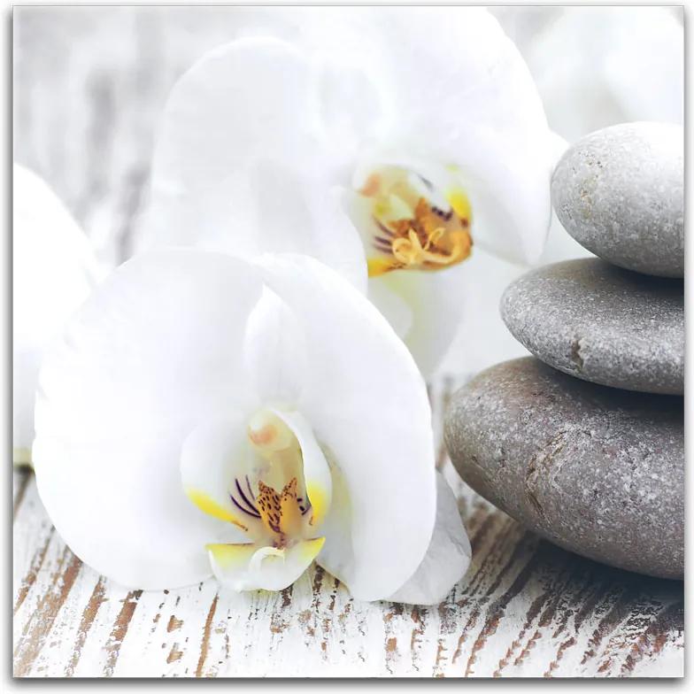 Styler Obraz na plátně - White orchid 30x30 cm