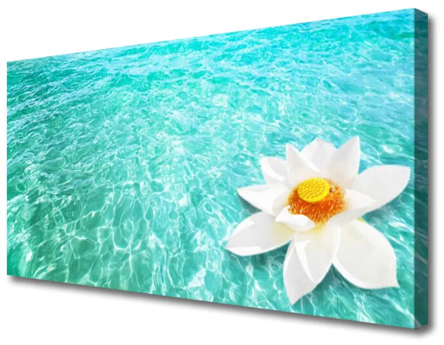 Obraz na plátně Voda Květ Umění 140x70 cm