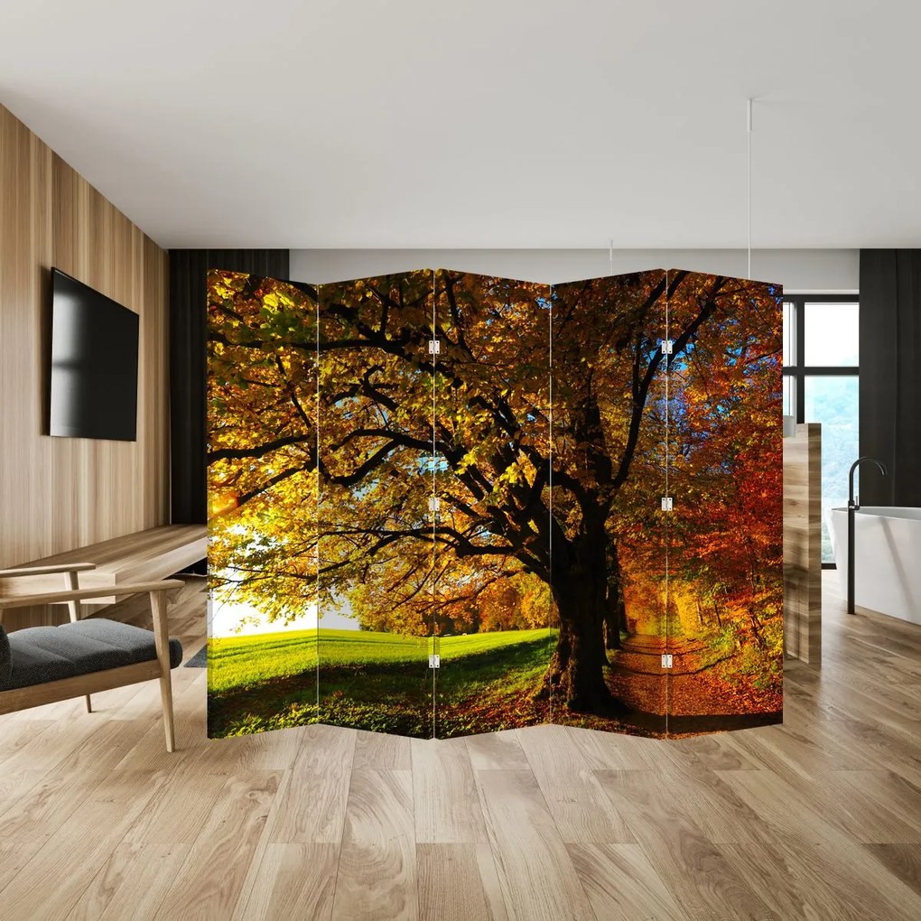 Paraván - Podzimní strom (210x170 cm)
