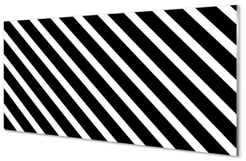akrylový obraz zebra pruhy 125x50 cm