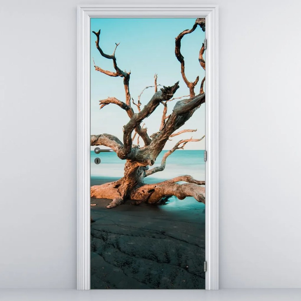 Fototapeta na dveře - Vyplaveno na pláži (95x205cm)