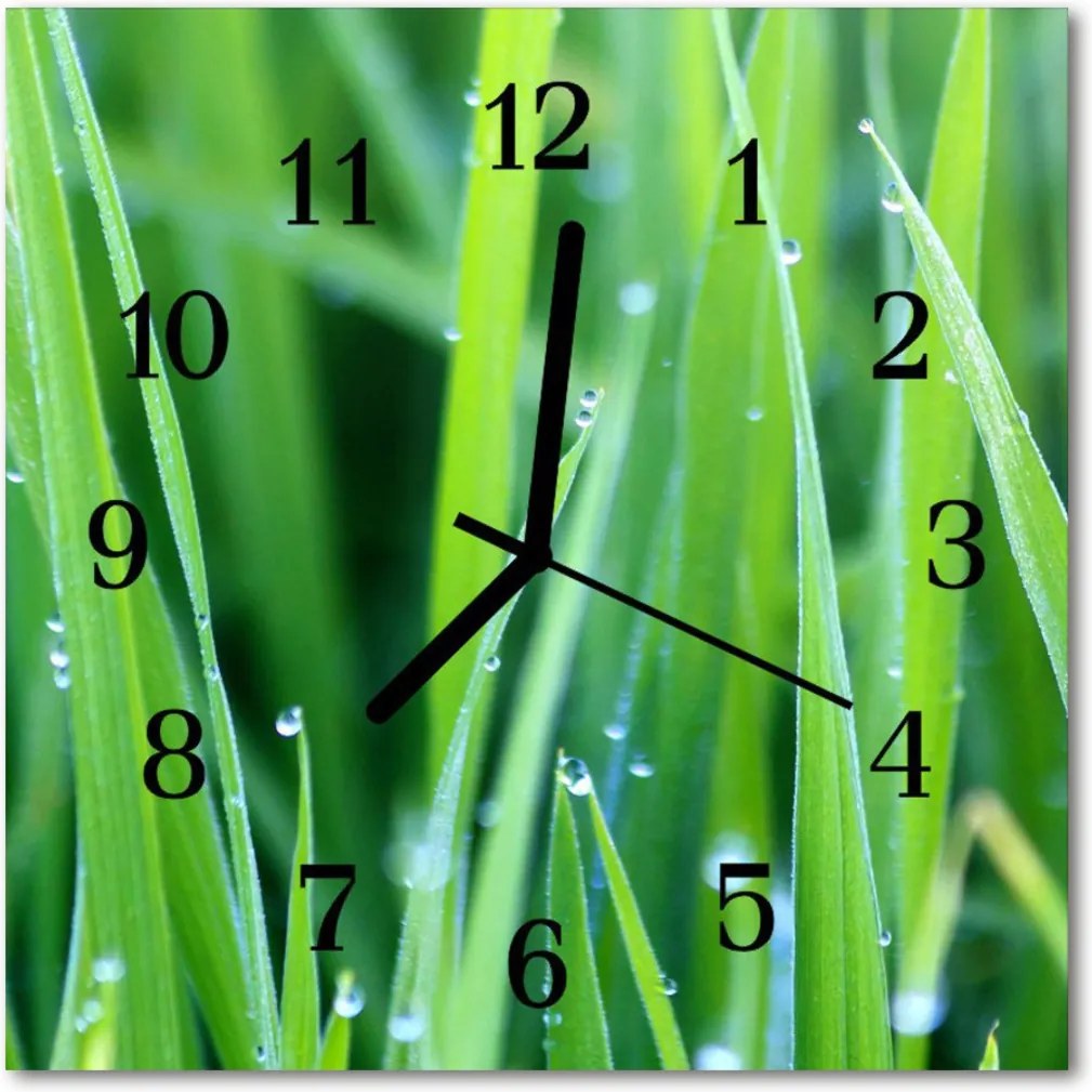 Nástenné skleněné hodiny Rosa na trávě