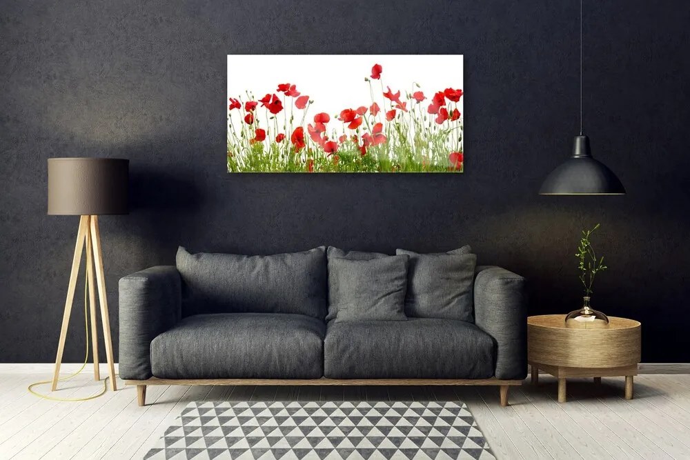 Obraz na skle Louka Máky Květiny Příroda 100x50 cm