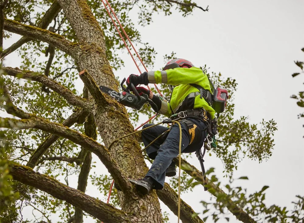 CRAMER 82TCS15 akumulátorová vyvětvovací řetězová pila