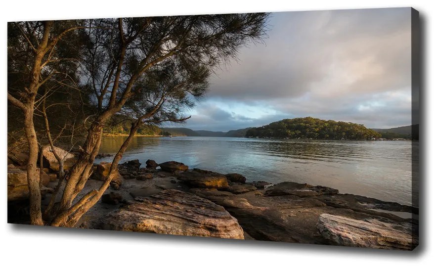 Wallmuralia Foto obraz na plátně Strom nad řekou 100x50