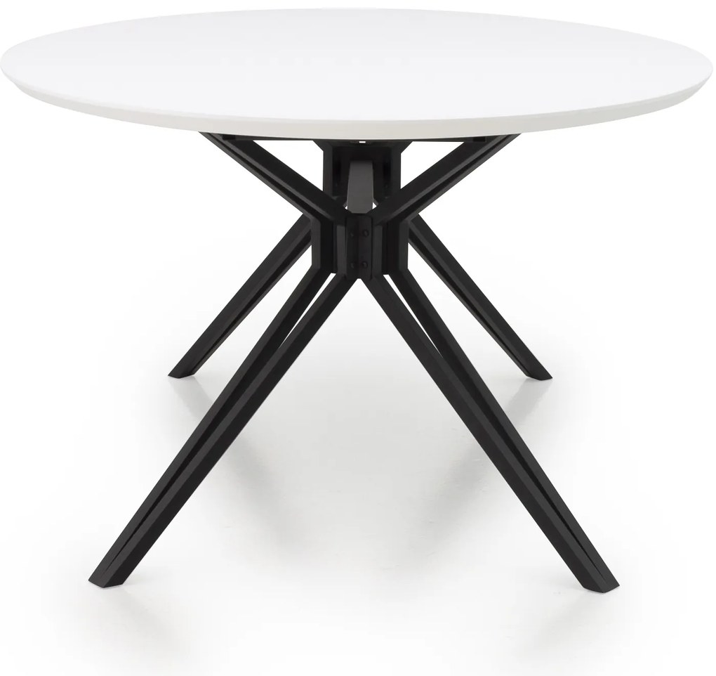 TENZO Oválný jídelní stůl CIBUZ 240x120cm 9003704910